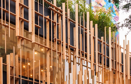 Funcionamento da JHSP durante o Carnaval